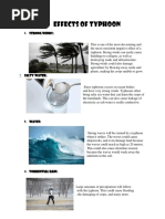 Sample Weather Report Script | PDF | Monsoon | Rain