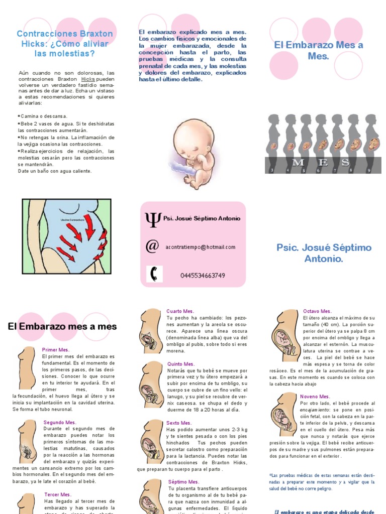 Triptico Embarazo PDF | Descargar gratis PDF | El embarazo | Parto
