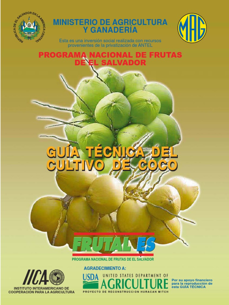 Guía Técnica Del Cultivo Del Coco | Coco | Tallo de la planta