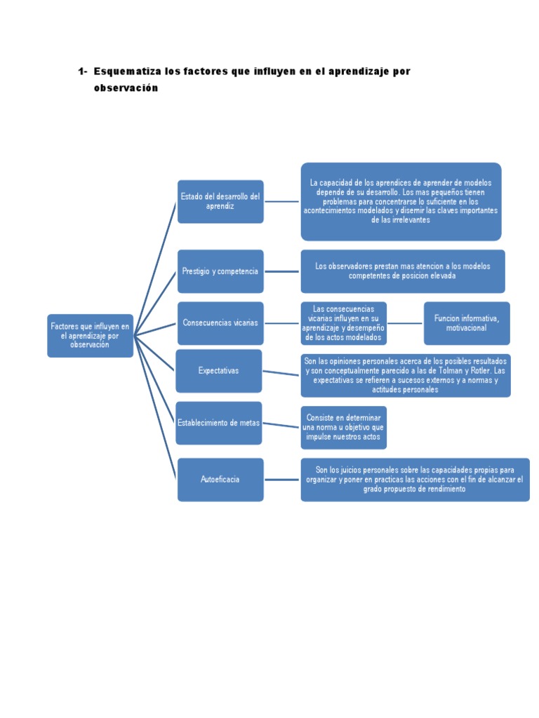 Esquematiza Los Factores Que Influyen en El Aprendizaje Por Observación ...