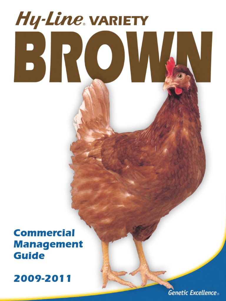 2009 Hy-Line Brown Guia | Chicken | Birds