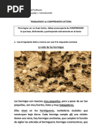 Mi Proyecto: Las Hormigas | PDF | Hormiga | Himenópteros