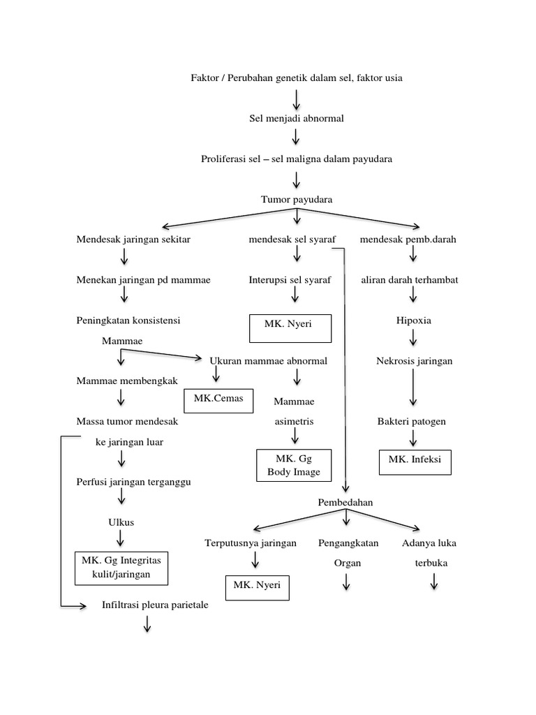 WOC Tumor Mammae | PDF