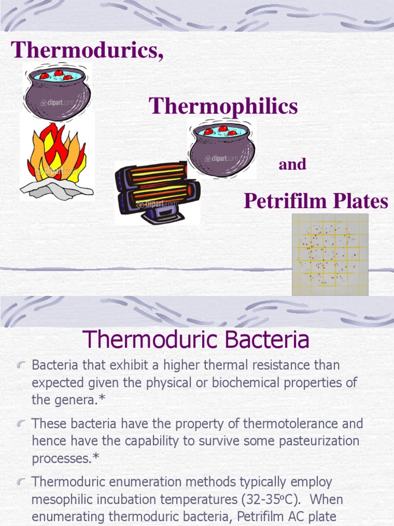 Thermophilic vs Thermoduric Bacteria | PDF | Powdered Milk | Milk