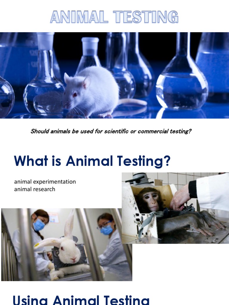 Project Animal Testing | PDF | Wellness