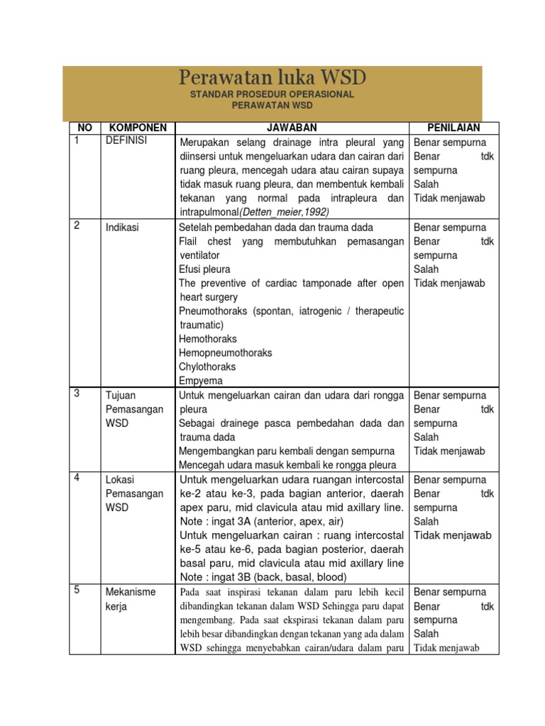 Perawatan Luka WSD | PDF