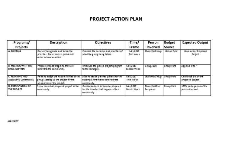 Project Action Plan Outline | PDF