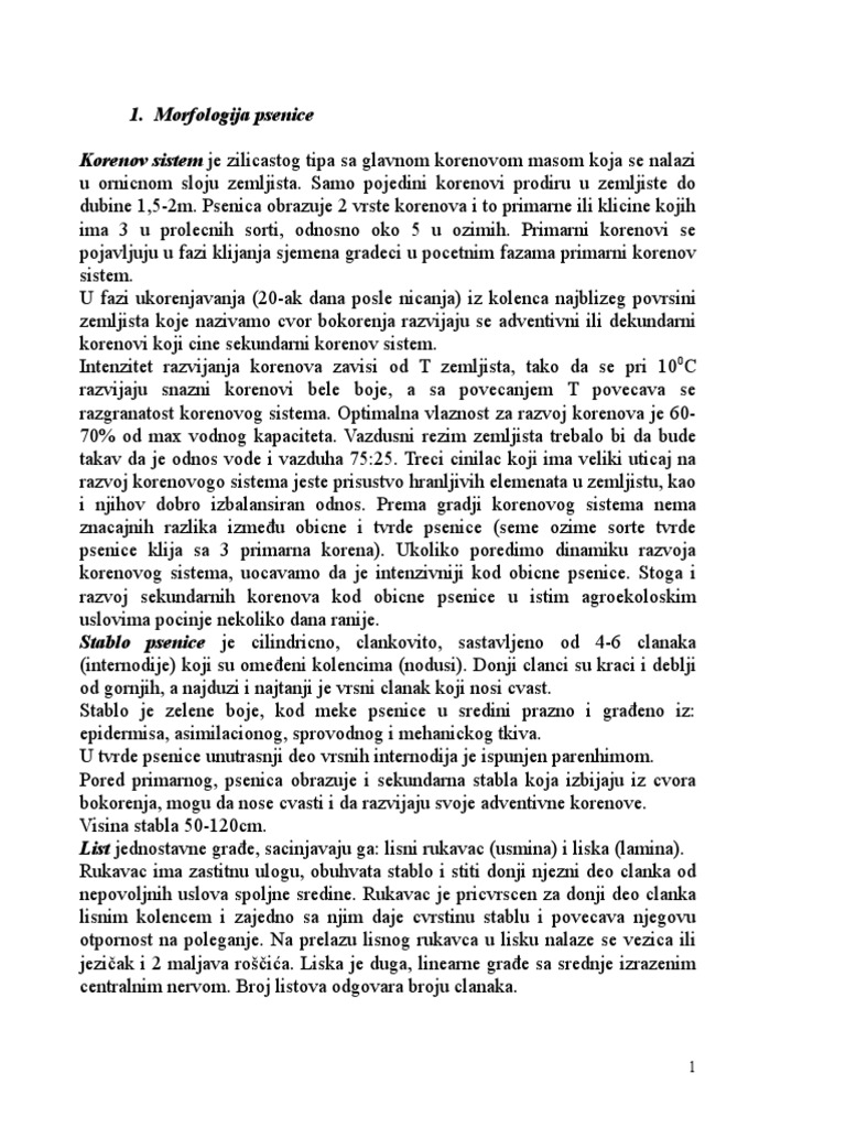 Morfologija Psenice | PDF