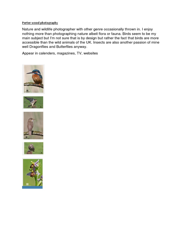Perter Wood Photography | PDF