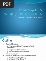 Eruption Chart | PDF | Tooth | Dentistry Branches