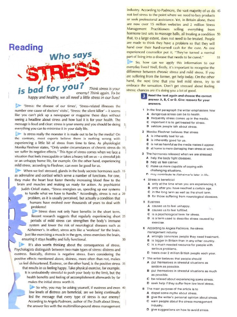 Reading Comprehension: Stress | PDF