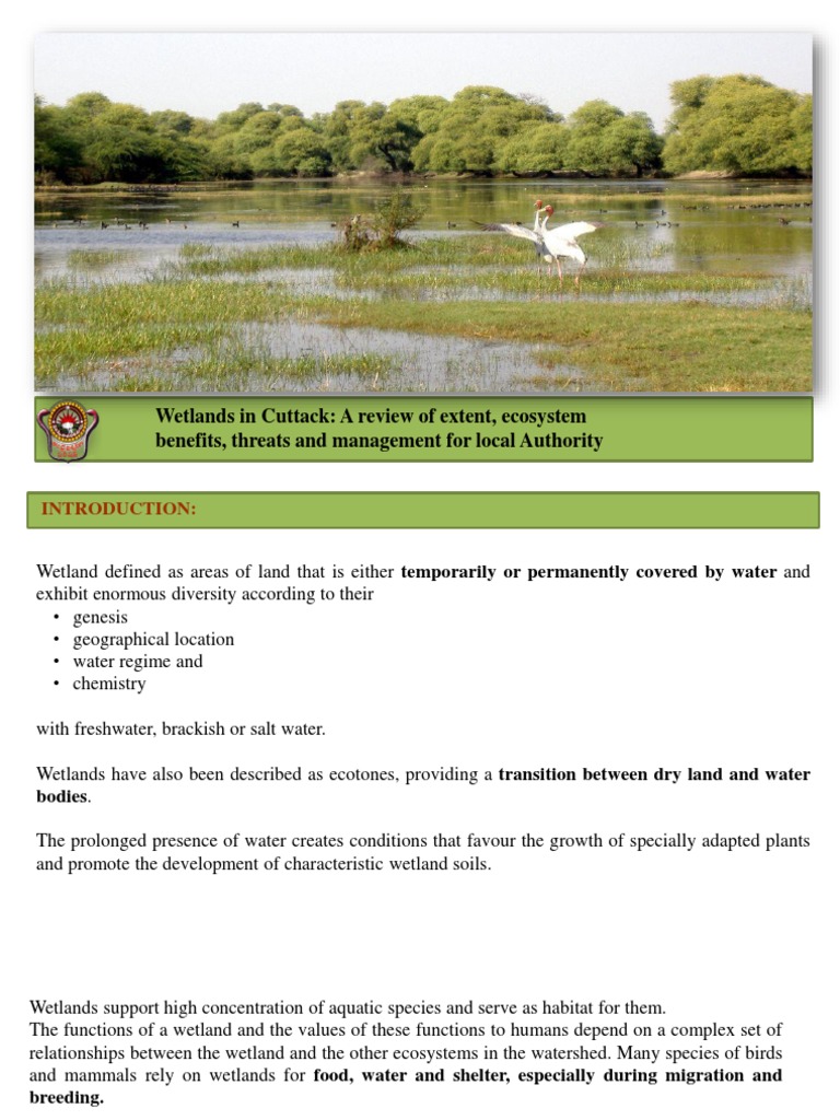 wetland.pptx | Wetland | Water Resources