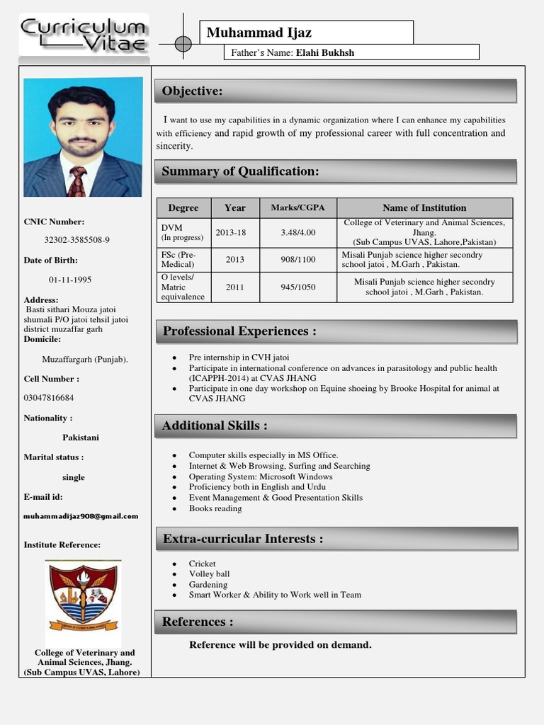 CV Ijaz | PDF | Software | Computing
