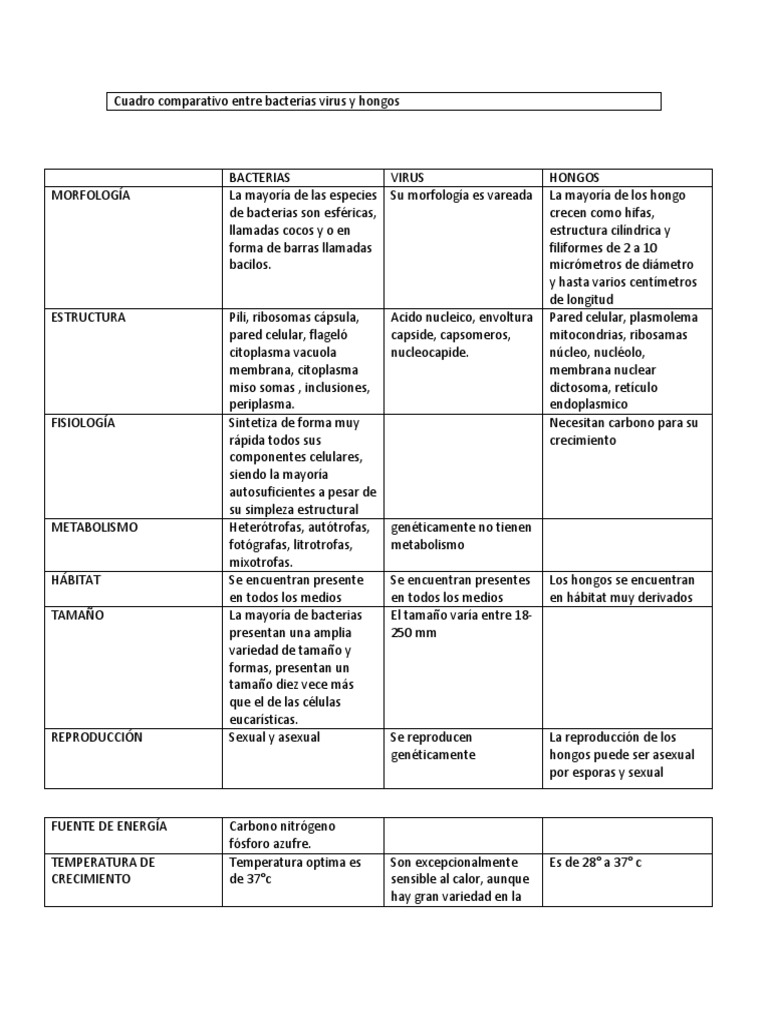 Cuadro Comparativo Entre Bacterias Virus y Hongos | Las bacterias | Hongo