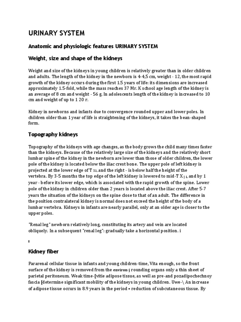Urinary System | PDF | Kidney | Urinary System