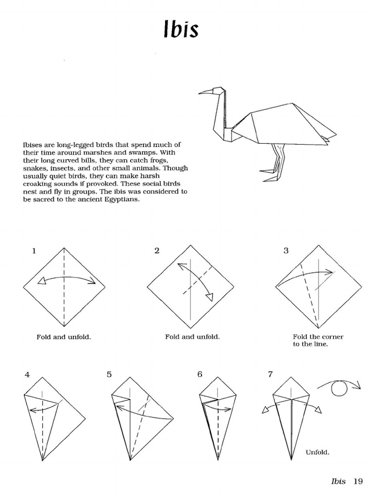 Origami - Ibis | PDF