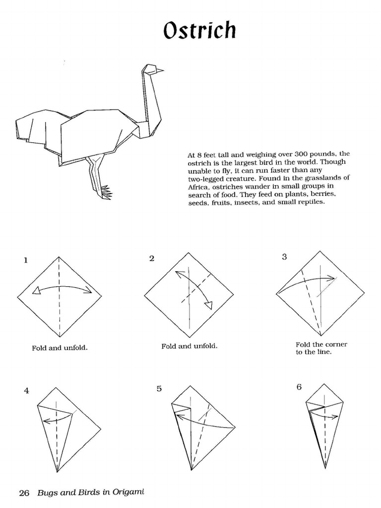 Origami - Ostrich | PDF