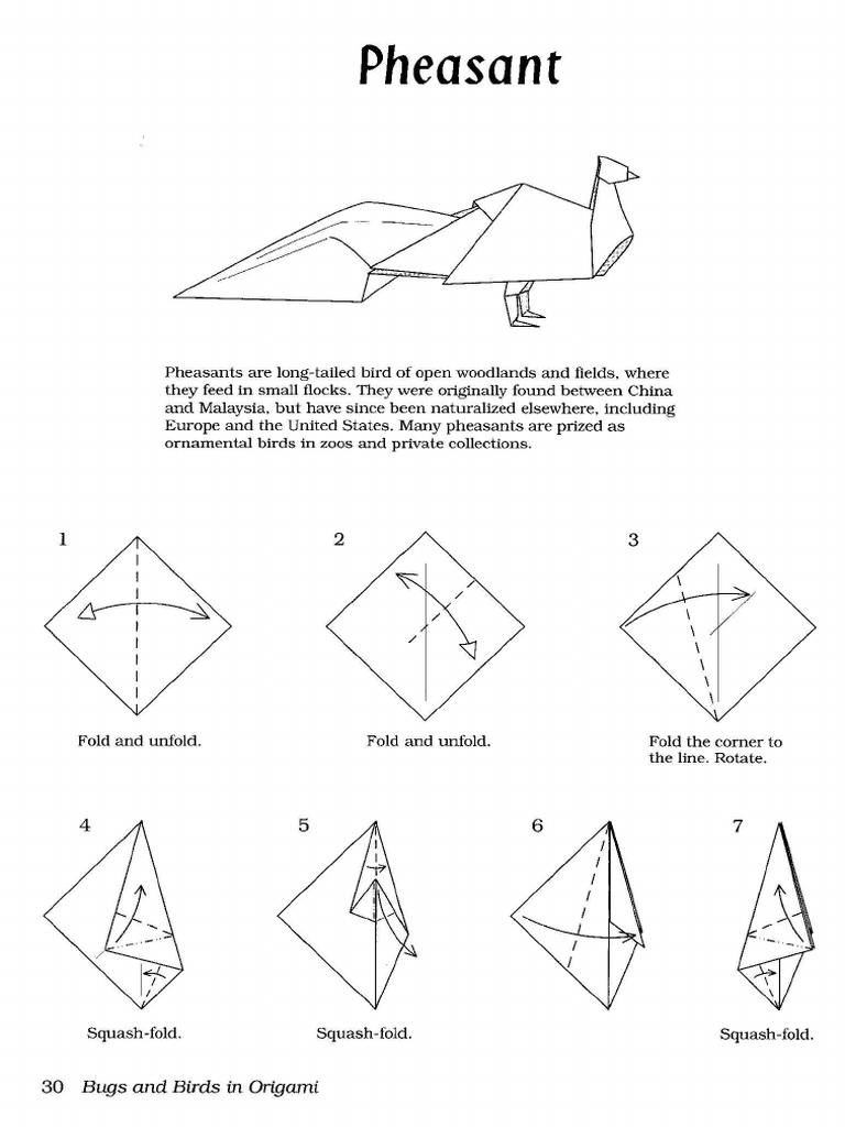 Origami - Pheasant | PDF