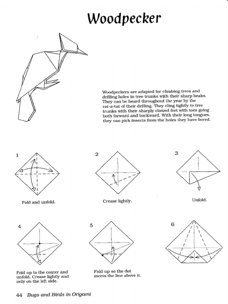 Origami - Woodpecker