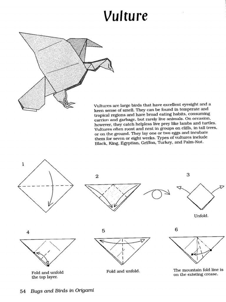 Origami - Vulture | PDF