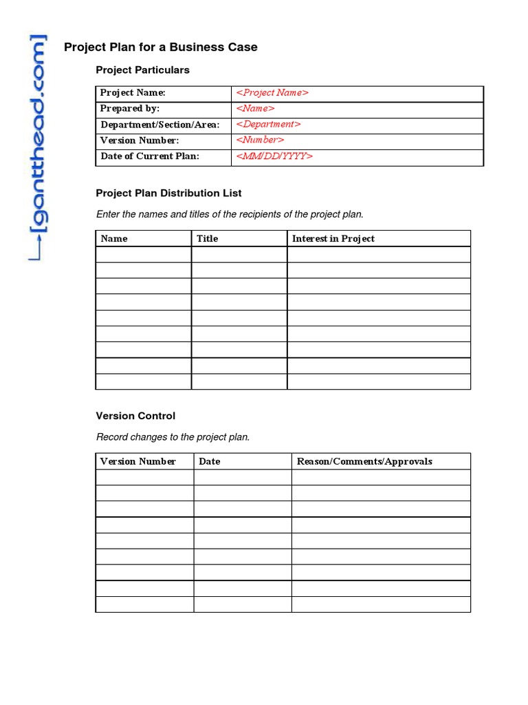 PM Project Plan For A Business Case | PDF | Net Present Value | Economies