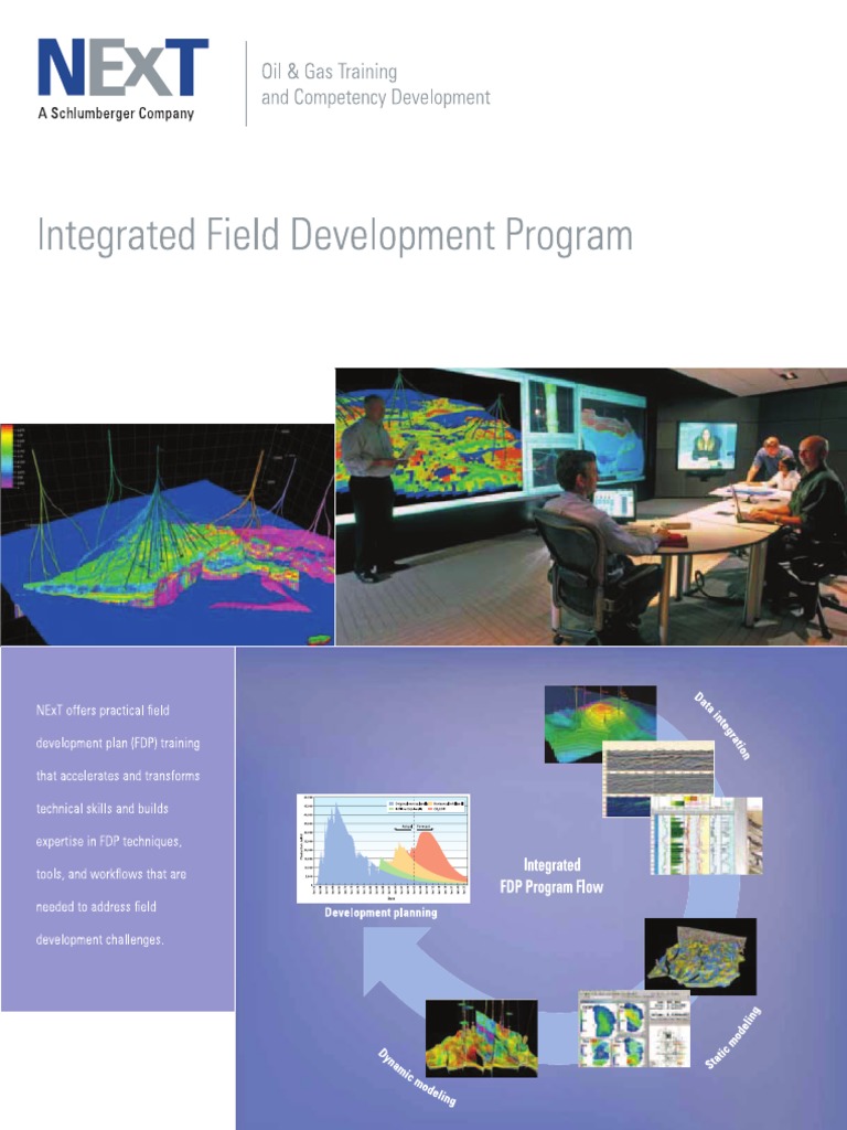 Next - Oil and Gas Field Development Program | PDF