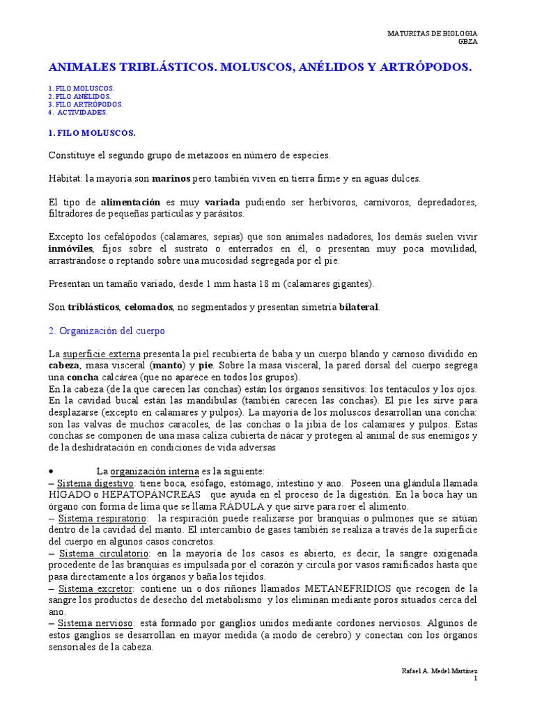 Triblásticos. Moluscos, Anelidos y Artrópodos | PDF | Moluscos | Branquia