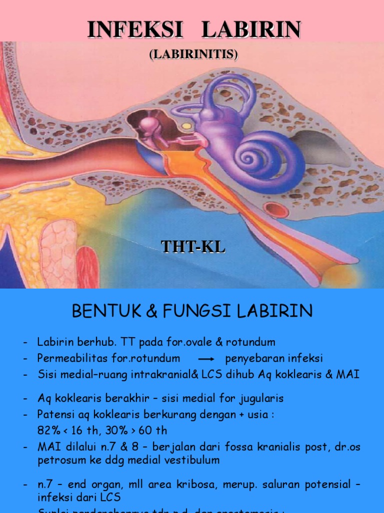 Labirinitis DR - YS | PDF