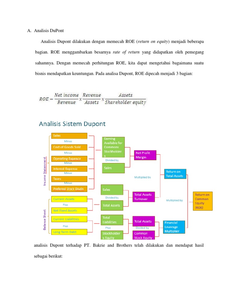 Analisis DuPont | PDF