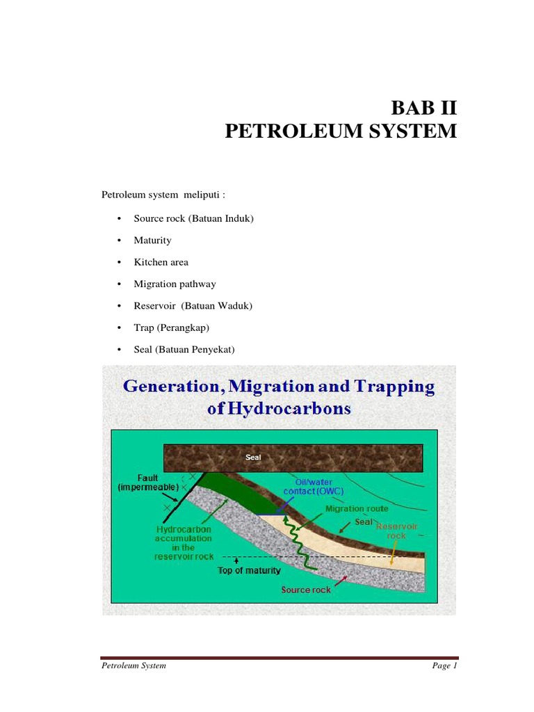 BAB II Petroleum System | PDF