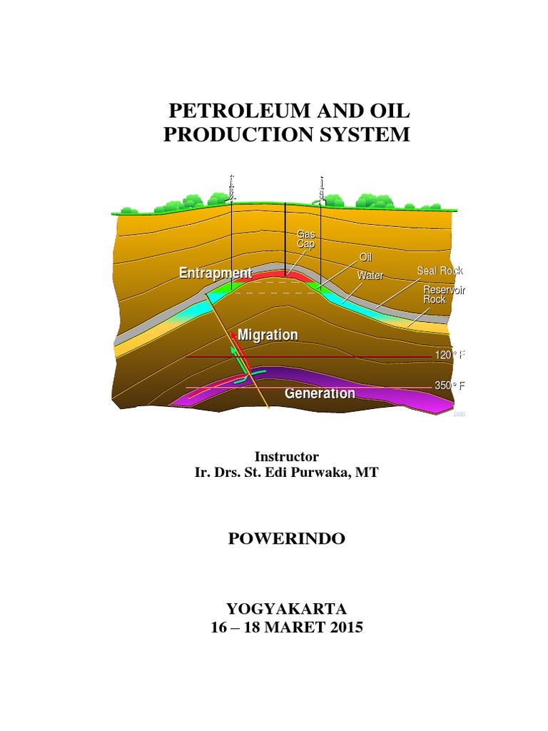 Petroleum Production System Overview | PDF