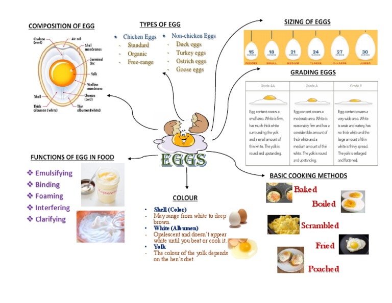 Mind Map Eggs
