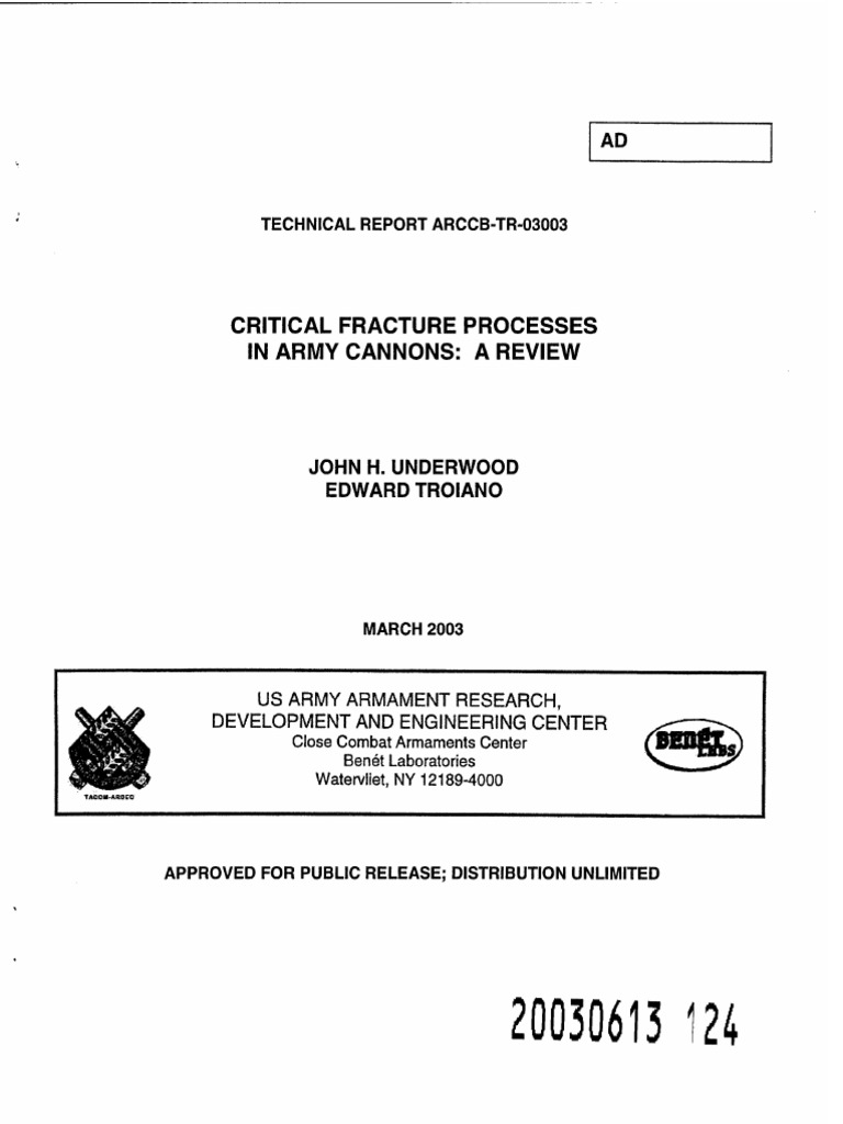 Critical Fracture Processes | PDF | Fracture | Strength Of Materials