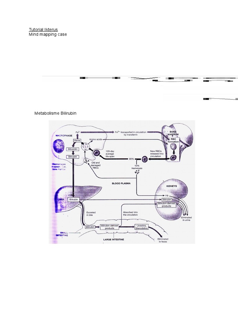 Mind Map Kasus Diskel-Tutorial | PDF