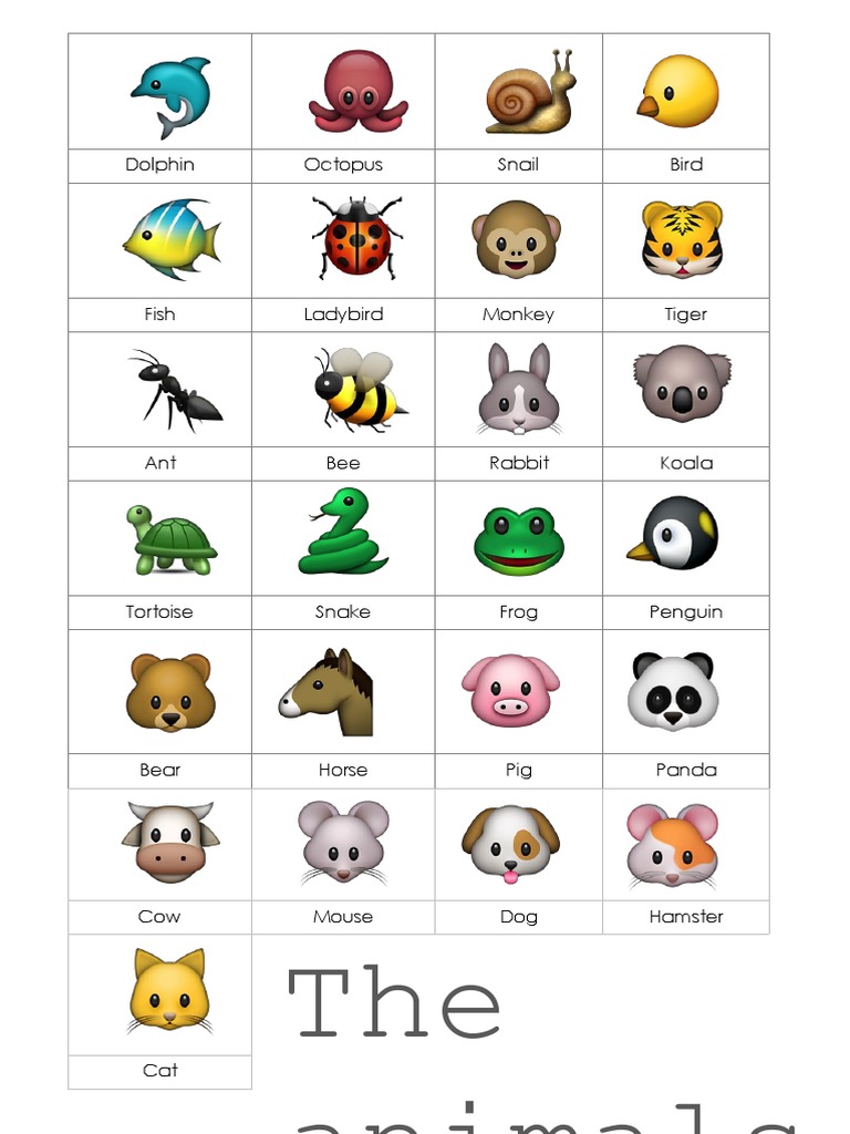 A List of Common Animals and Their Characteristics | PDF