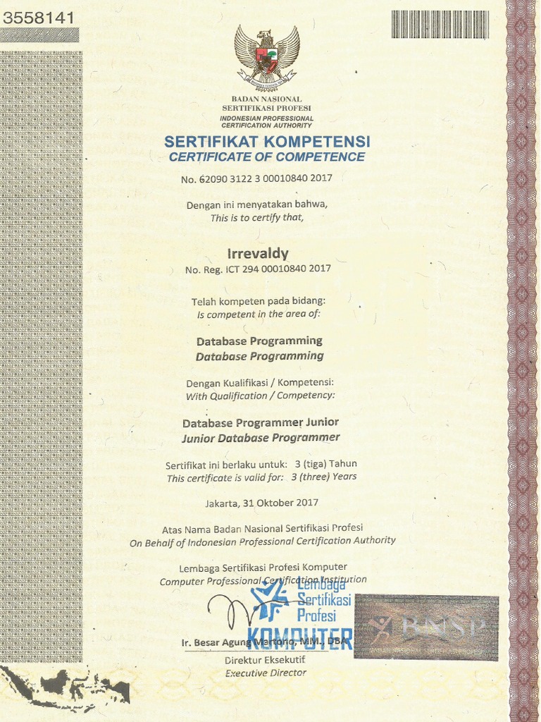 Sertifikat BNSP - Database Programming | PDF