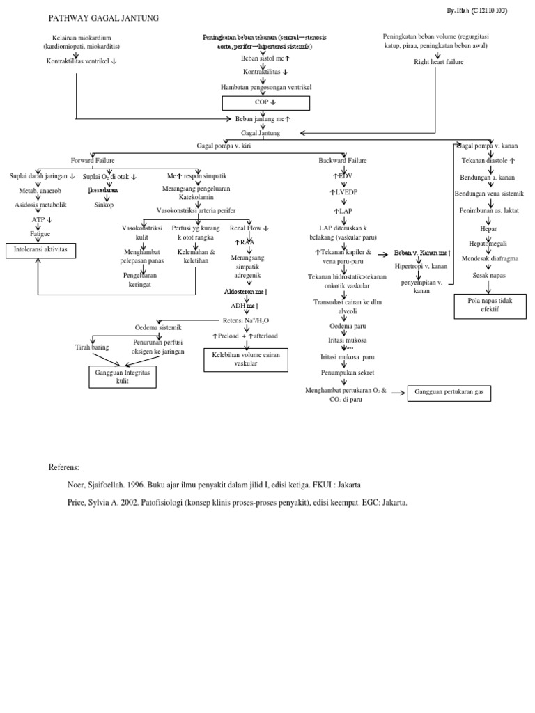 Pathway Gagal Jantung PDF | PDF
