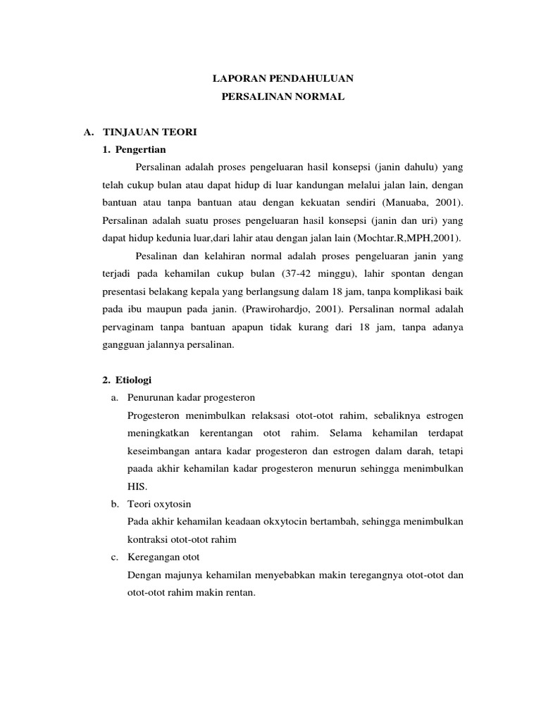 LP Dan Askep Persalinan Normal | PDF