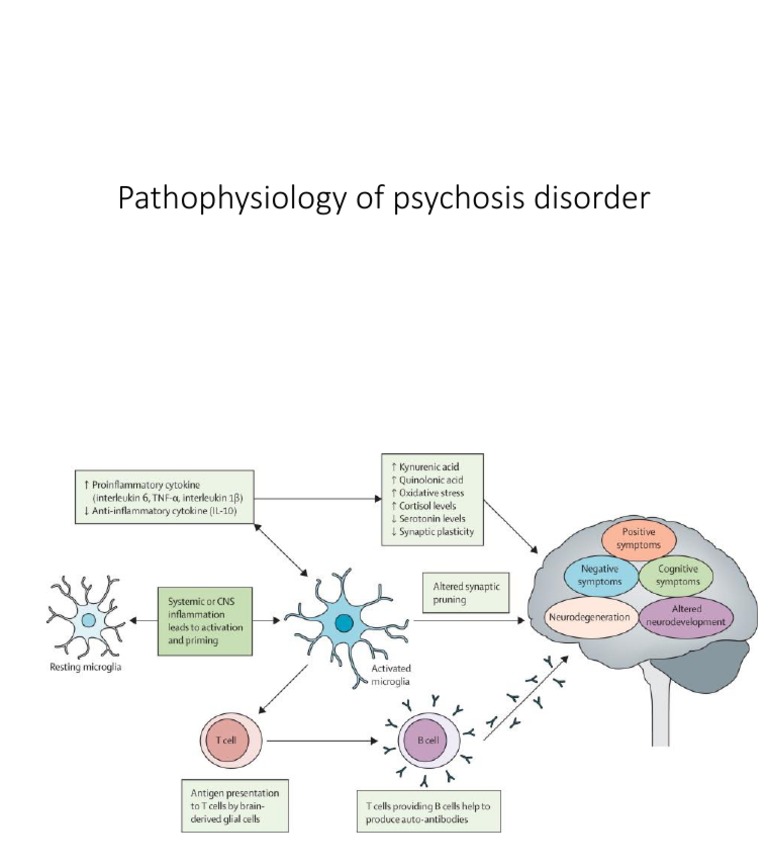Pathophysiology of Psychosis Disorder | PDF
