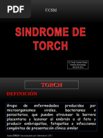 Sindrome de Torch | PDF | El embarazo | Inmunología