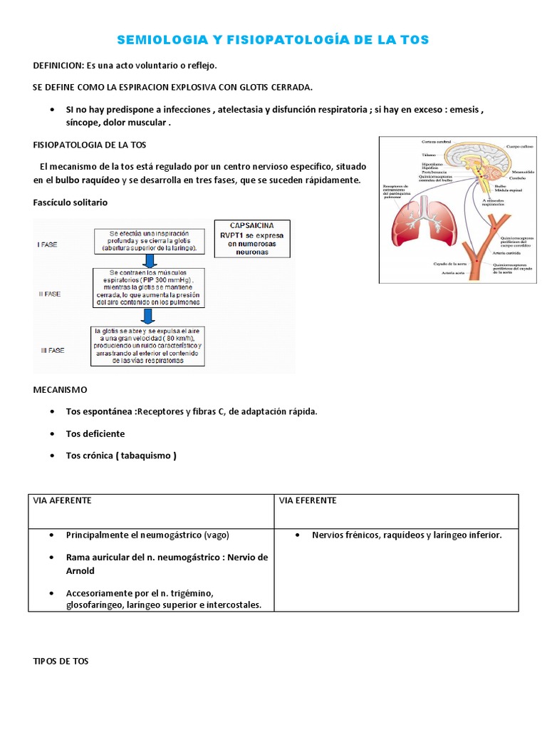 Semiologia y Fisiopatología de La Tos | Tos | Otorrinolaringología