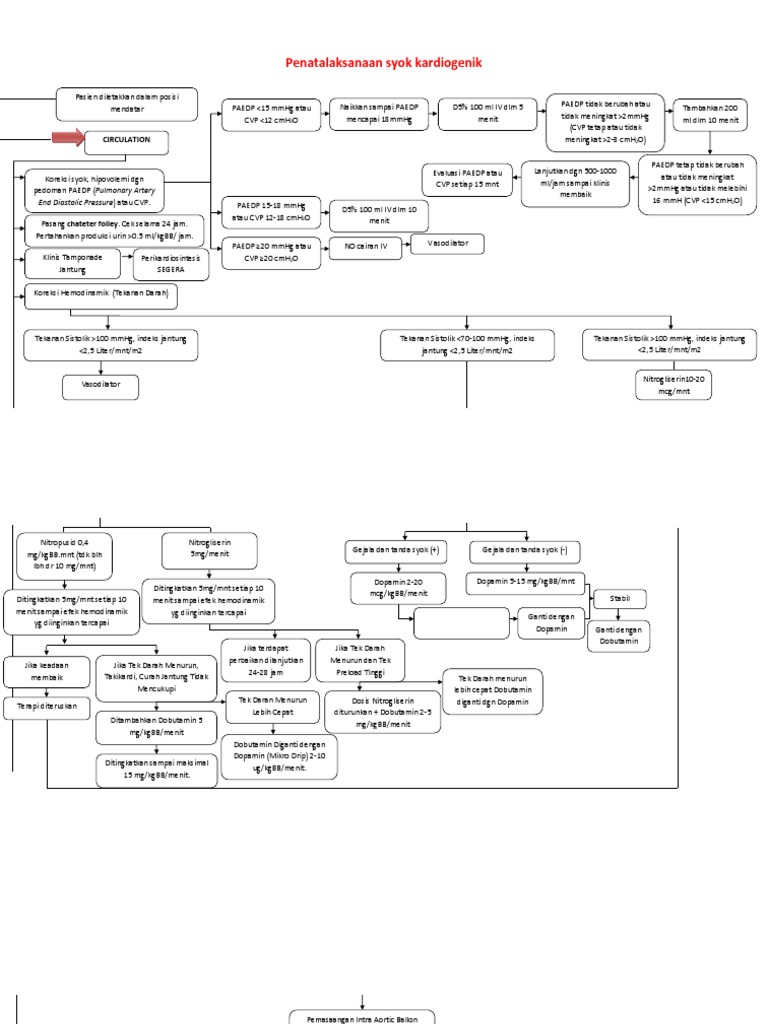 Poster Syok Kardiogenik | PDF