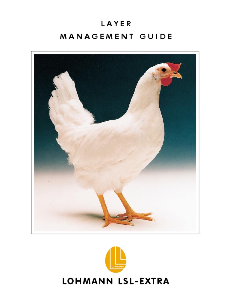 Lohmann LSL Extra | PDF | Poultry Farming | Chicken
