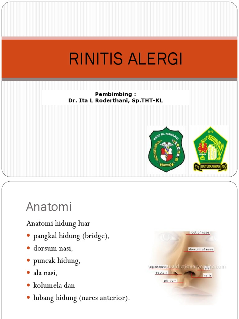 RINITIS ALERGI: PENGERTIAN, PATOGENESIS, GEJALA KLINIS, DIAGNOSIS DAN ...