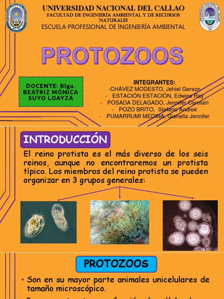 PROTOZOOS | Protozoos | Biología Celular)