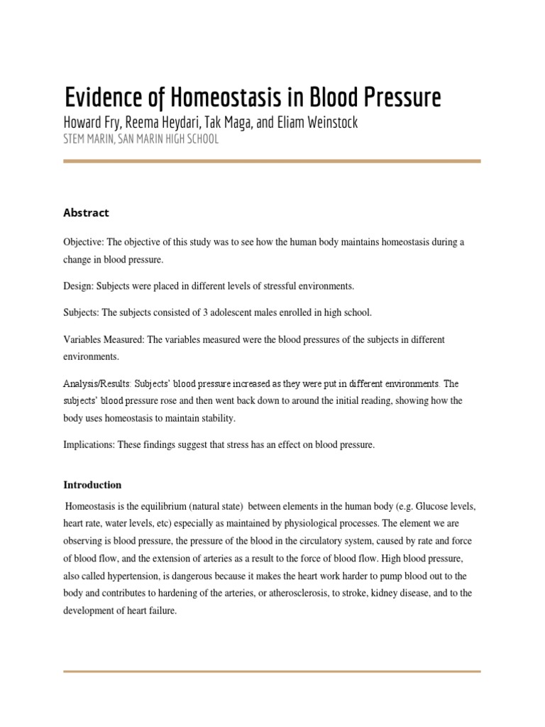 BP Report | PDF | Blood Pressure | Homeostasis