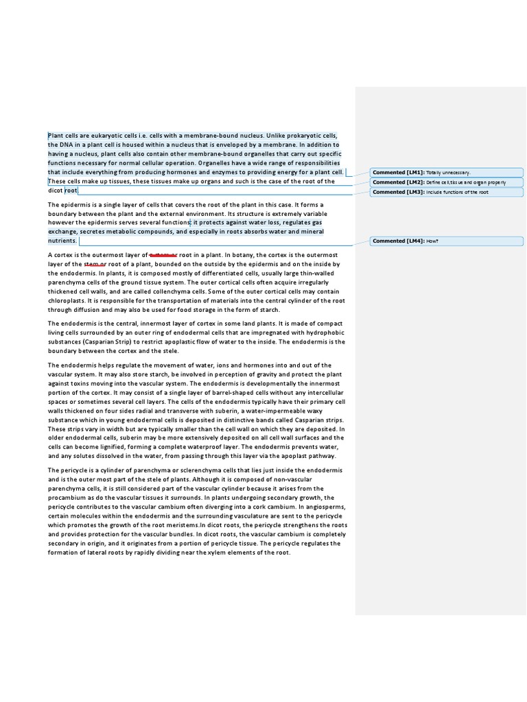 Plant Cells (SBA) | PDF | Tissue (Biology) | Root
