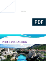 Nucleic Acid Project | PDF | Nucleic Acids | Dna