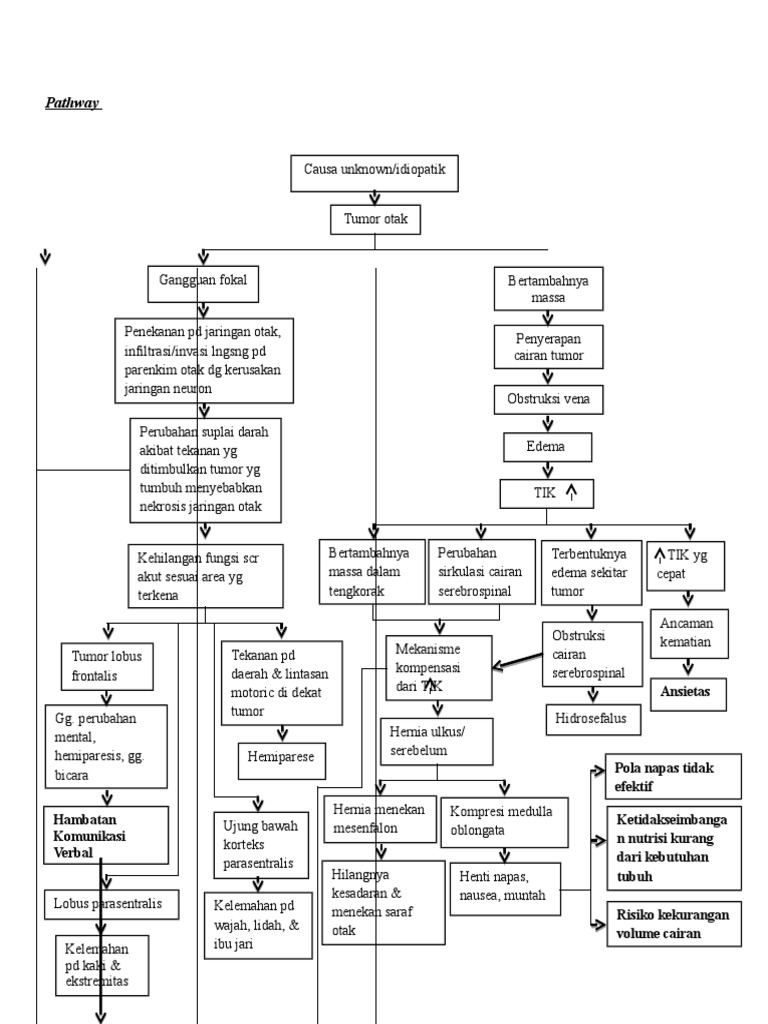 Pathway Tumor Otak Print | PDF