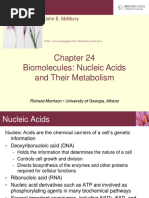 MOINA Upper Extremities (NETTER) PDF | PDF